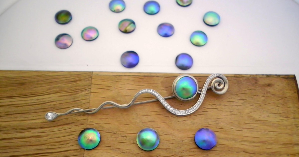 Paua Pearl Farm Tour | GetYourGuide