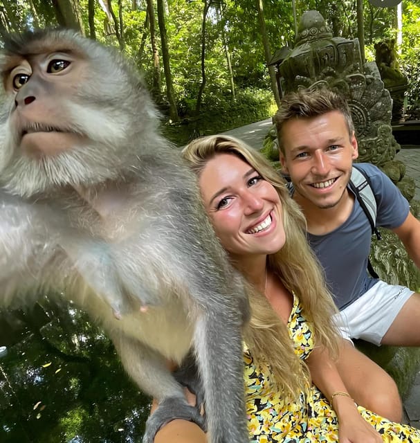 Sightseeing One Day UBUD Instagram Highlights - PRIVATE TOUR | GetYourGuide