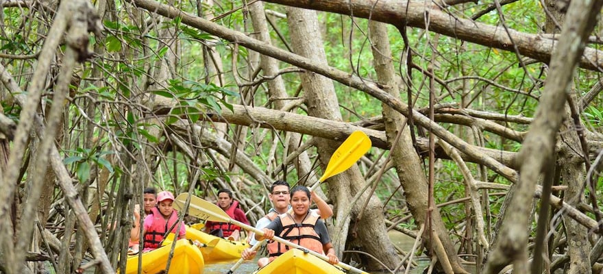 The BEST Langkawi Mangrove tours 2024 - FREE Cancellation | GetYourGuide