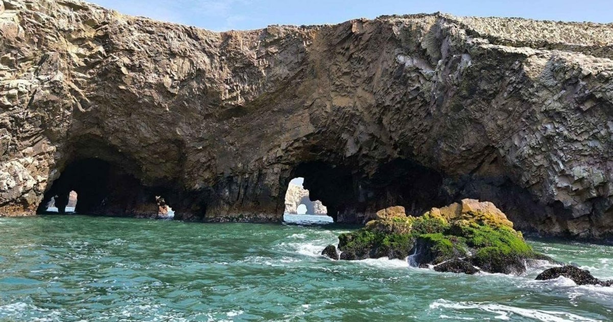 Full D Ballestas Islands – Nasca Lines Overflight from Pisco | GetYourGuide