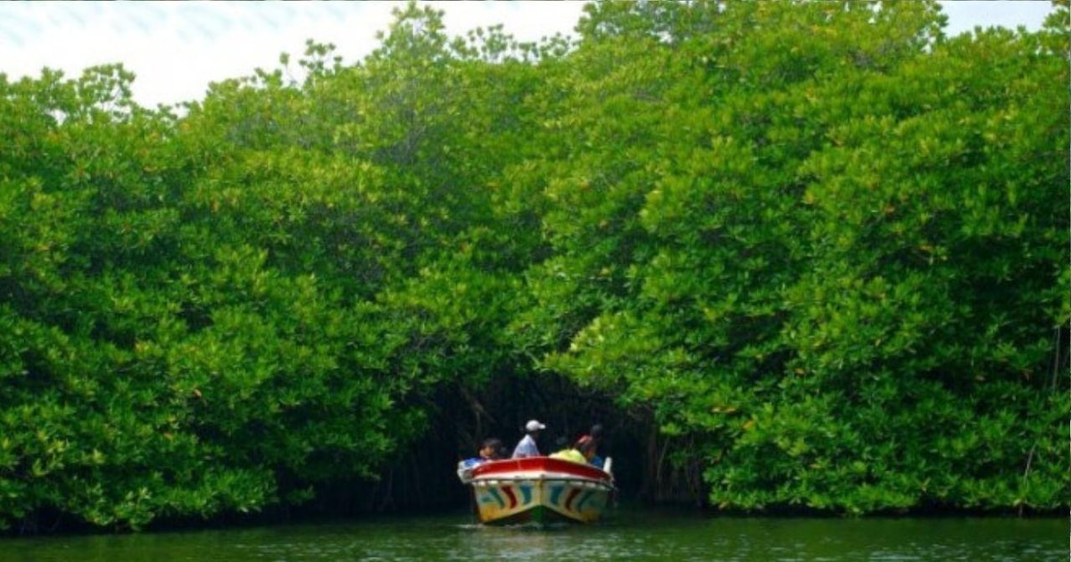 6 Nights 7 Days-Muslim Halal tour with Beach Vacation | GetYourGuide