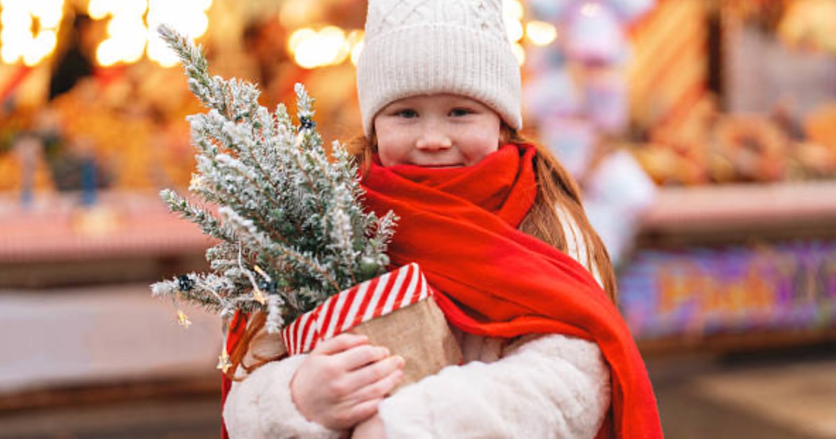 Private Festive Tour of Santa Fe’s Christmas Highlights | GetYourGuide
