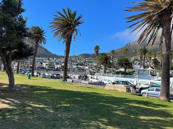 Full-Day Private Cape Town’s Most Beautiful Beaches Tour | GetYourGuide