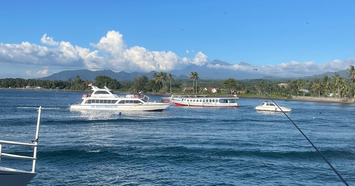 Sumbawa: Saleh Bay Whale Shark Snorkeling Tour | GetYourGuide