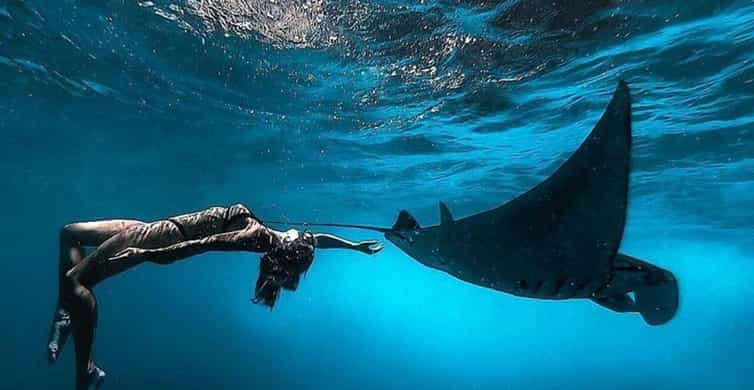 Manta Point, Nusa Penida - Book Tickets & Tours | GetYourGuide