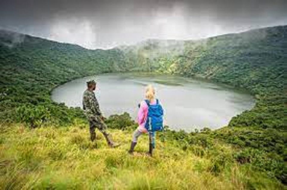 1 Día de senderismo (volcán Bisoke) | GetYourGuide