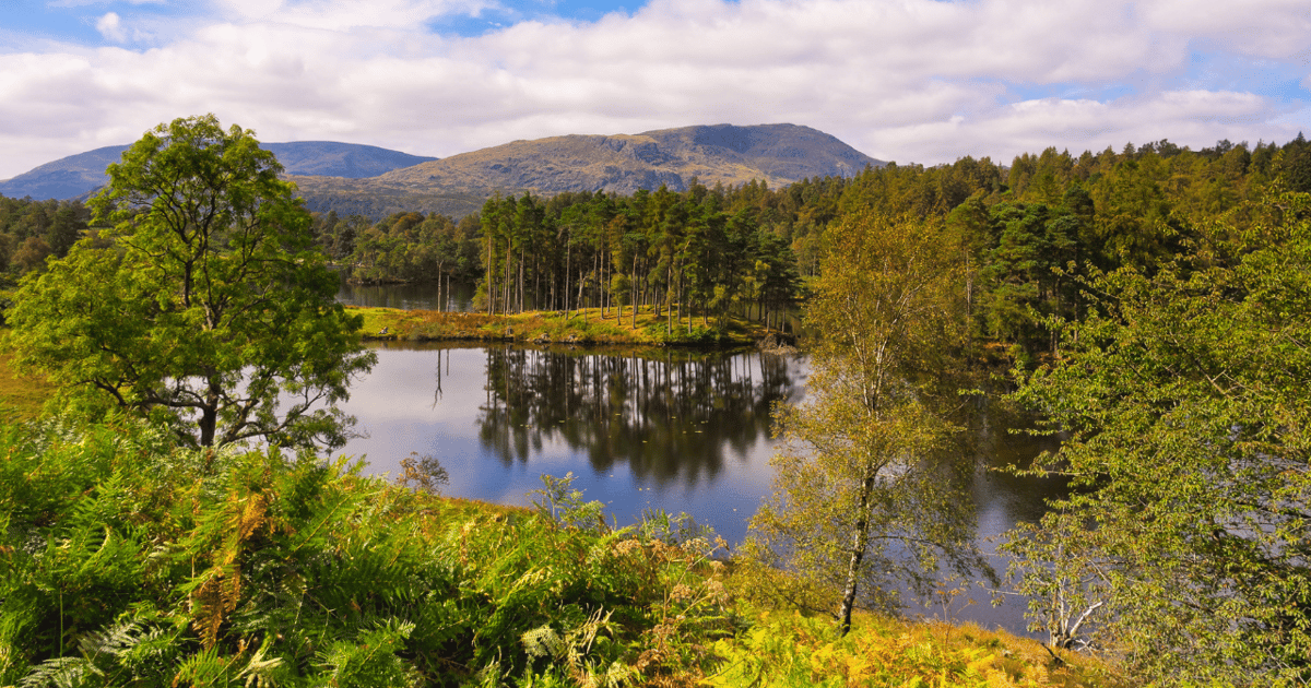 Liverpool: Tour del Lake District con crociera sul lago e tè alla panna ...