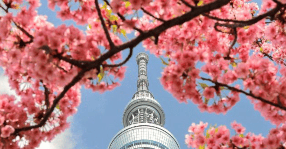Tokio: Celodenní soukromá prohlídka města Tokio - místa, která musíte ...
