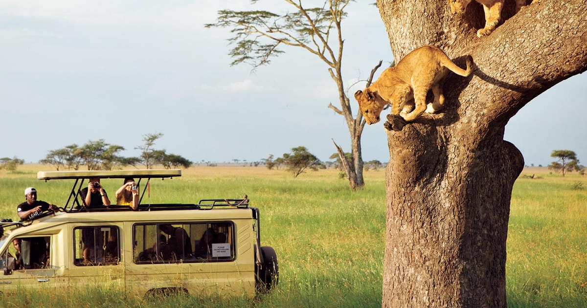 4 Days Tanzania Adventure Camping Safari | GetYourGuide