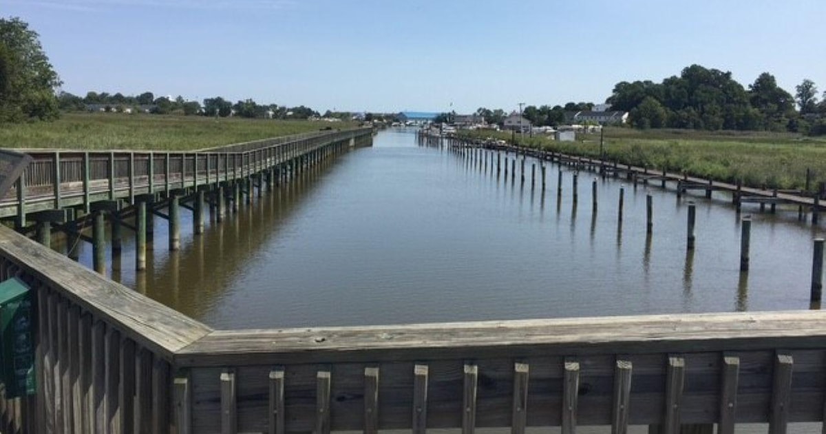 Chesapeake Beach: Guided Walking Tour of the Railway Trail | GetYourGuide