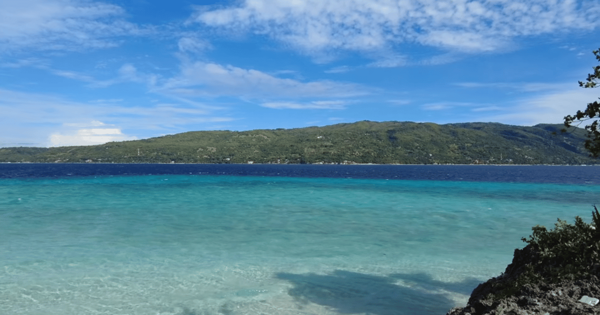 Cebu: Whale Shark Watching, Tumalog Falls & Sumilon Island | GetYourGuide