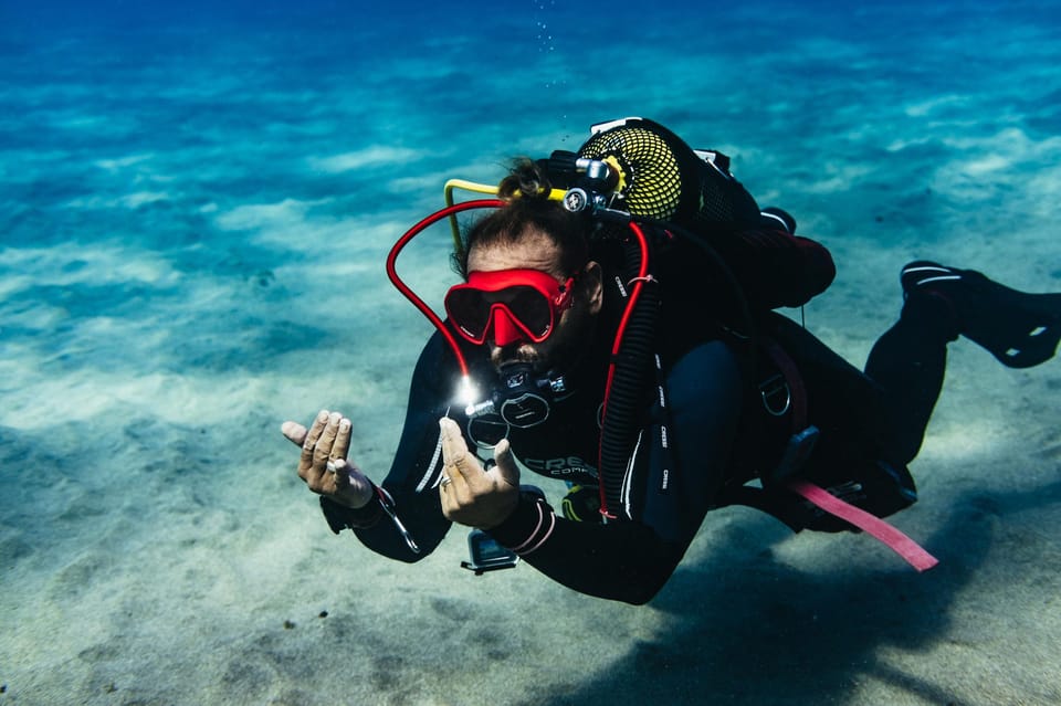 Museo Atlántico: Scuba Dive Lesson for Non-Certified Divers | GetYourGuide