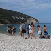 Explore Vlora Bay: Sazani Island & Karaburun peninsula | GetYourGuide