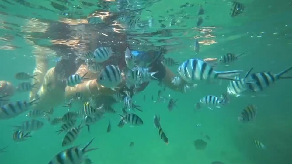 Bintan Snorkeling | GetYourGuide
