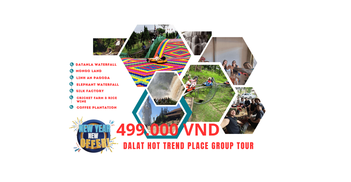 Dalat: Hot Attraction - Alpine Coaster- Mongoland-Datanla | GetYourGuide