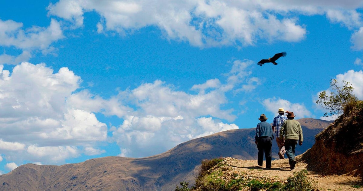 Cusco: Mirador del Condor Hike with Box Lunch | GetYourGuide