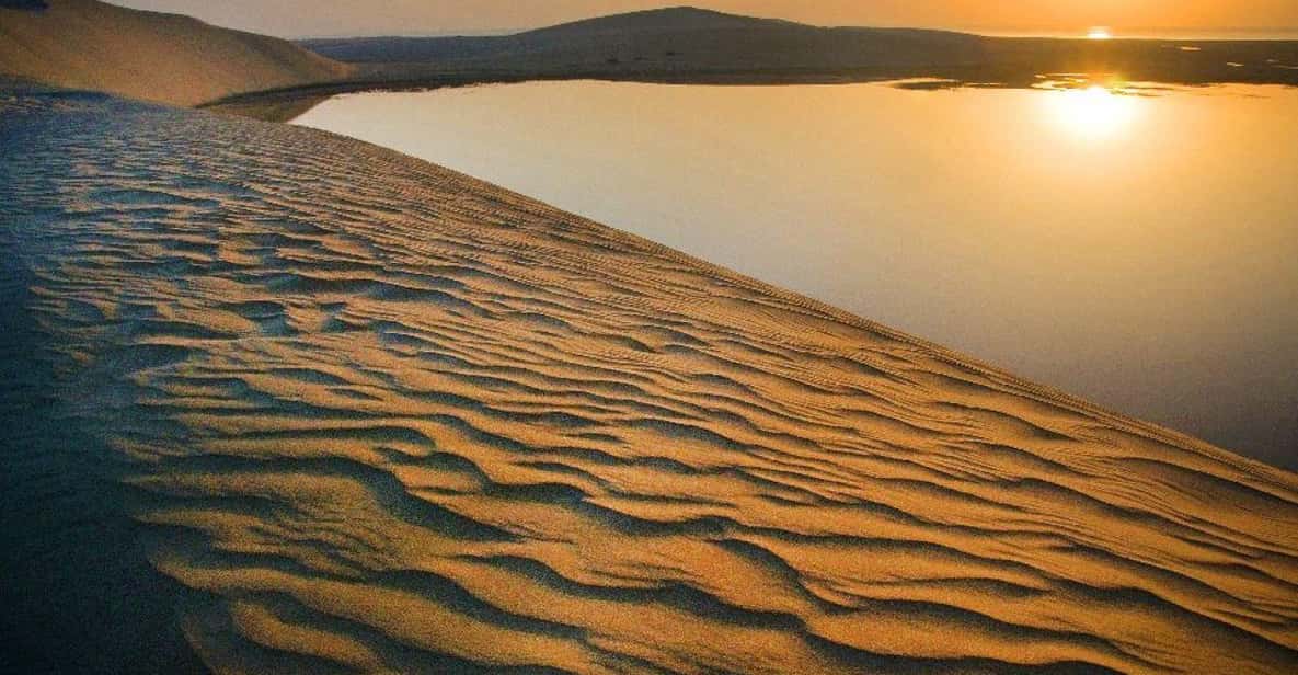 Qatar (Doha): City and Desert Safari Tour (Combo Package) | GetYourGuide