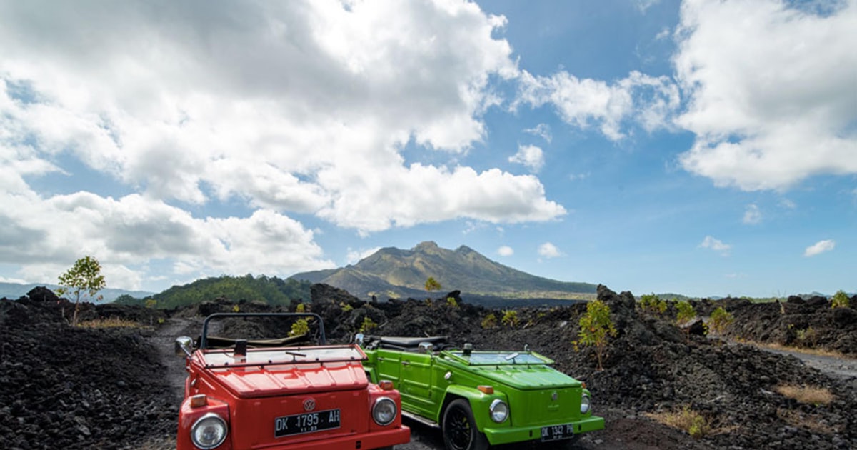Bali : VW Volkswagen Safari Kintamani Bali Tour et Swing | GetYourGuide