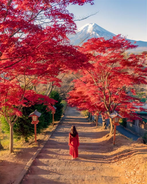 From Tokyo to Mt. Fuji: Oshino Hakkai & Hot Spring Trip | GetYourGuide