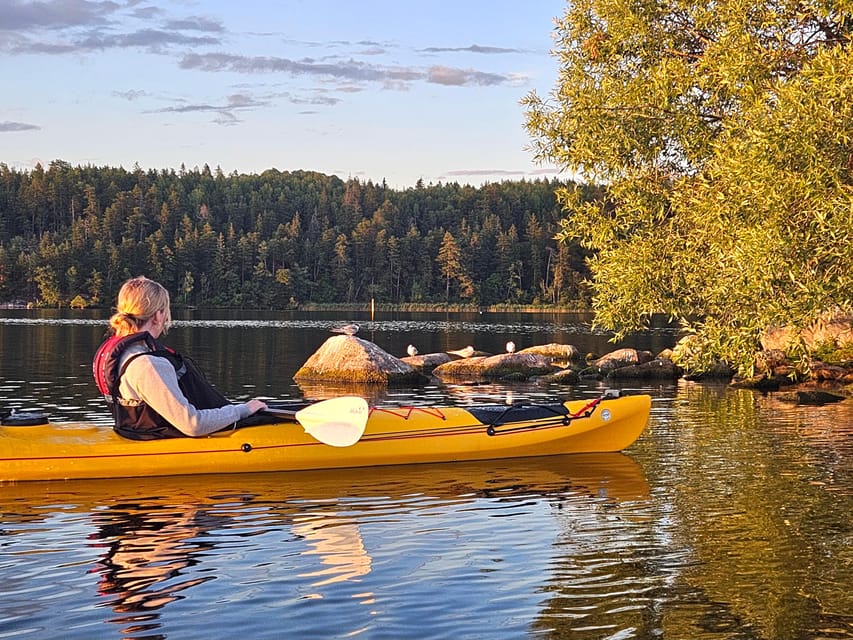 Stockholm: Sunset Kayak Tour on Lake Mälaren with Tea & Cake | GetYourGuide