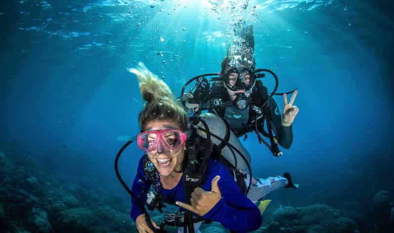 Try Scuba Diving for the first time | GetYourGuide