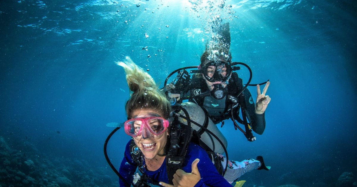 Prova le immersioni subacquee per la prima volta | GetYourGuide