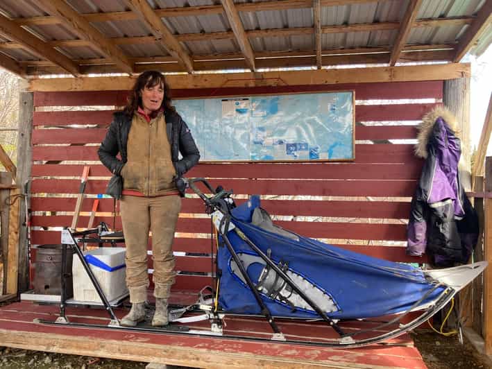 Skagway: Yukon, White Pass, & Husky Sled Camp Combo Tour | GetYourGuide