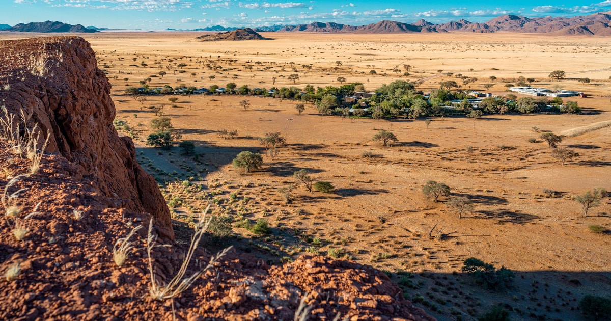 10 Days Namibian Highlights Safari Tour | GetYourGuide