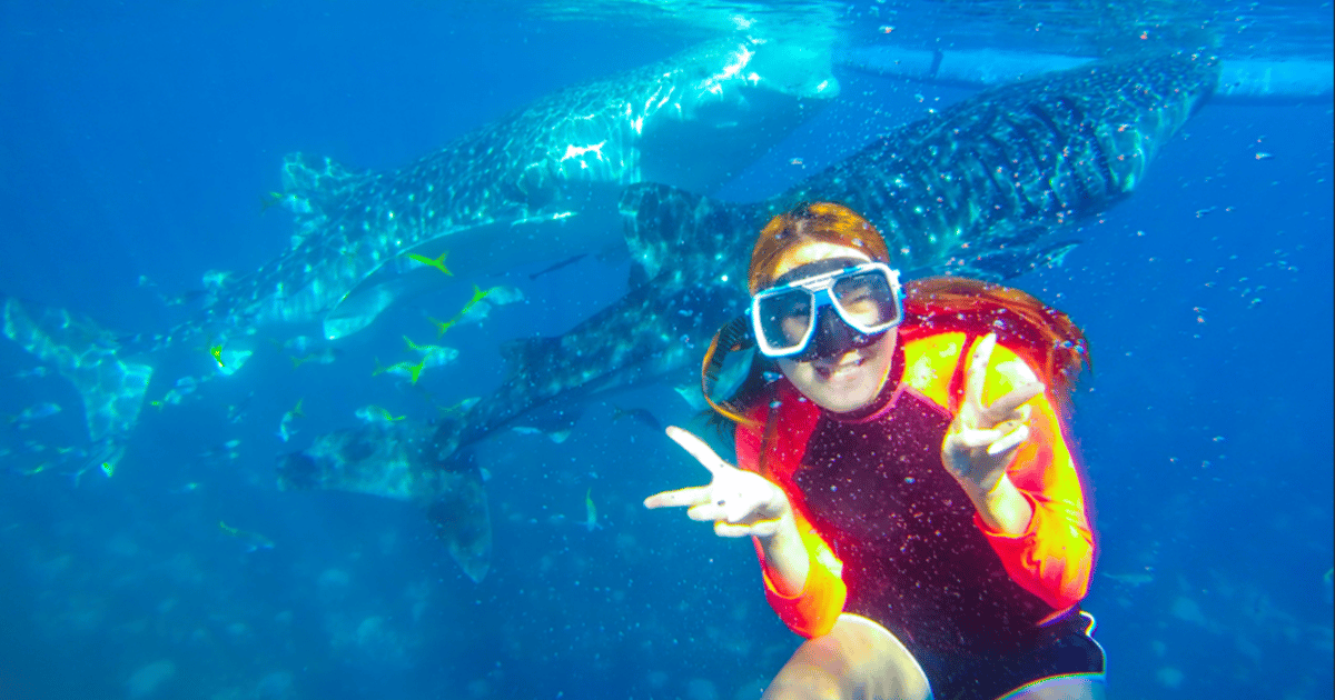 Cebu: zwemmen met walvishaaien in Oslob en tour naar de Tumalog ...