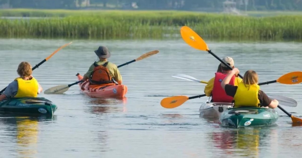 Bluffton: May River Kayak Nature and History Paddle | GetYourGuide