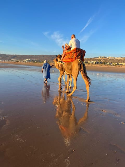 Quad Bike/Horse or Camel Beach Ride & Moroccan Ramadan Ftour | GetYourGuide
