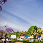 Arusha City Tour | GetYourGuide