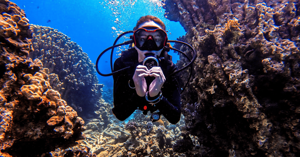 Aqaba Dive Adventure: Explore The Red Sea On A Tour | GetYourGuide