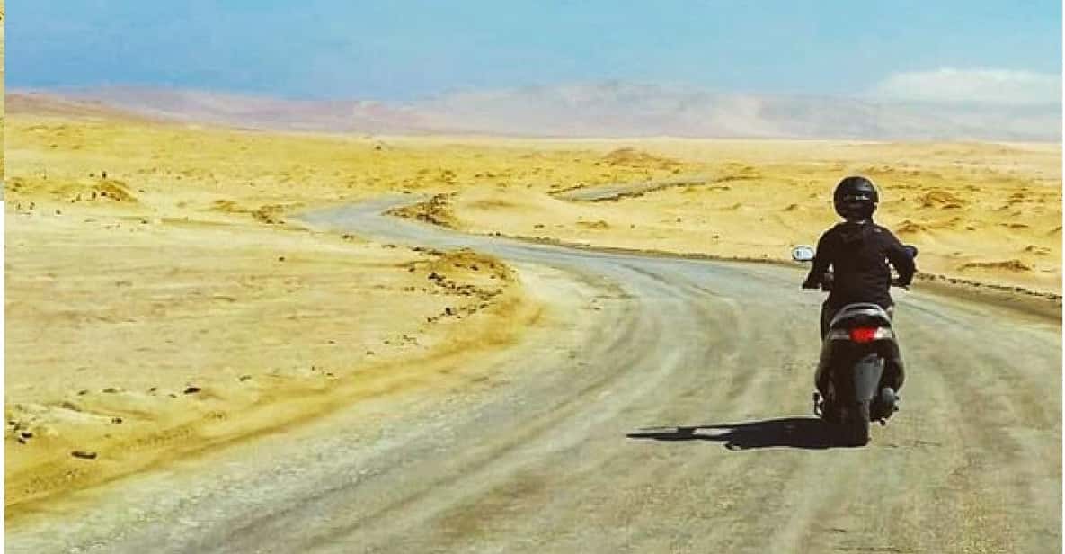 From Paracas: tour scootering to Paracas National Reserve | GetYourGuide