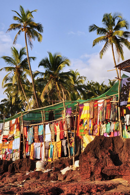 The BEST Goa Tours and Things to Do in 2024 - FREE Cancellation ...