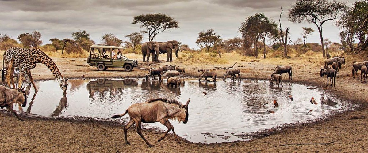 4-Day Maasai Boma, Hot Spring & into the Wild Experience | GetYourGuide