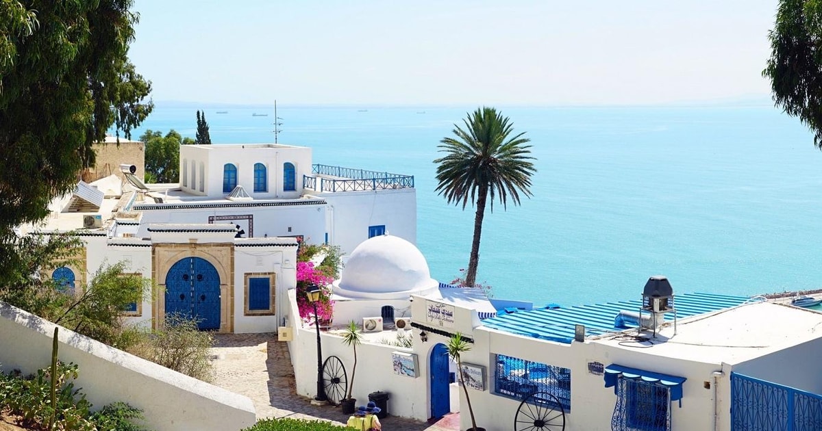 Bezoek van een halve dag aan het pittoreske Sidi Bousaid | GetYourGuide