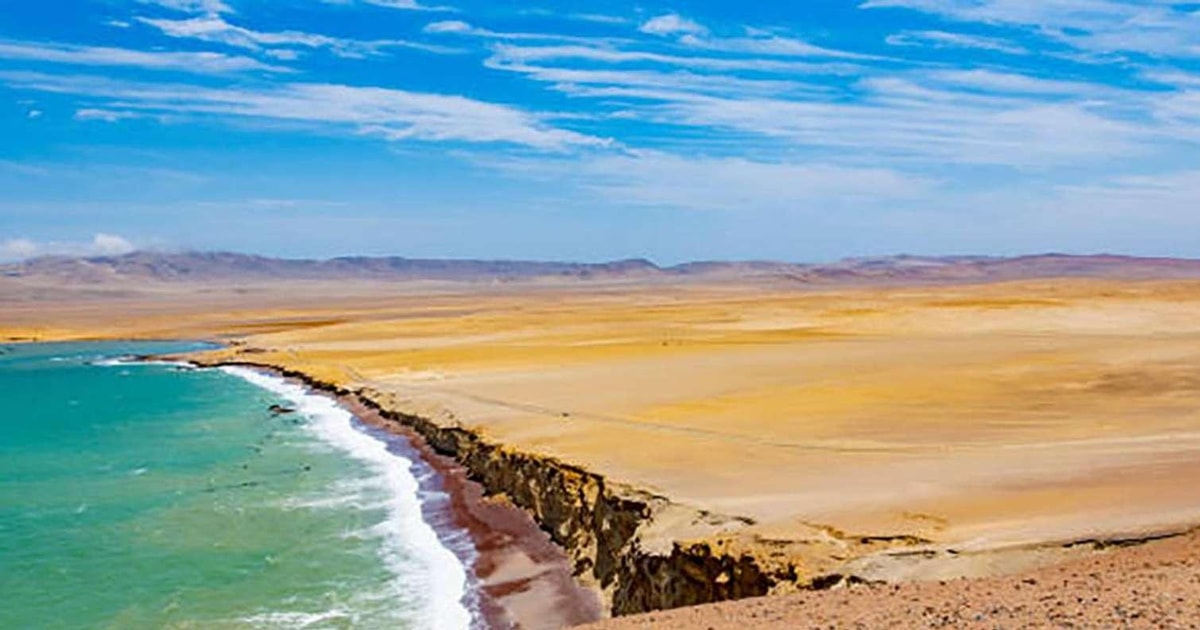 Paracas Nationaal Reservaat Tour | GetYourGuide