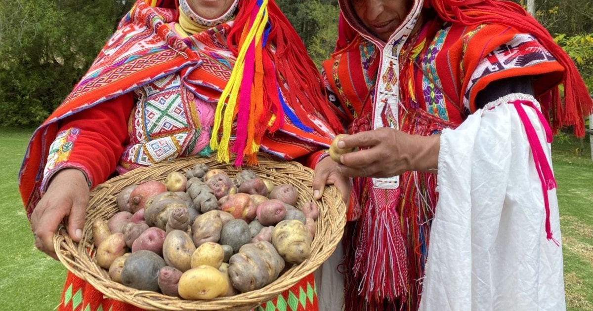 Turismo Rural Comunitario En El Parque De La Papa Valle Sagrado