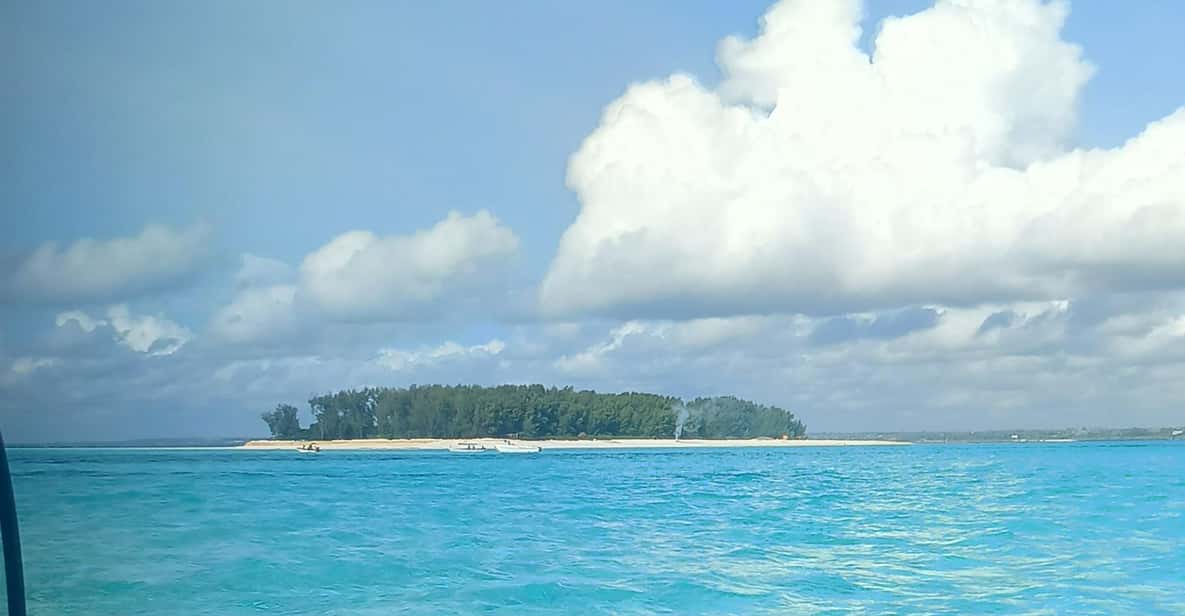 Muyuni Beach: Mnemba snorkeling and dolphins with BBQ | GetYourGuide