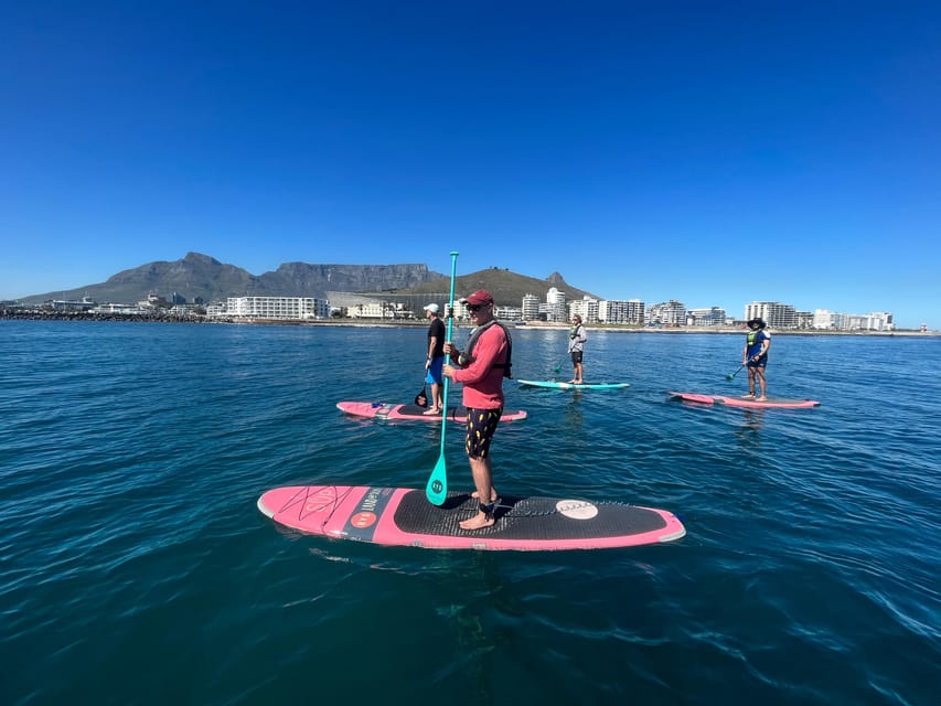 SUP Ocean Tour | GetYourGuide