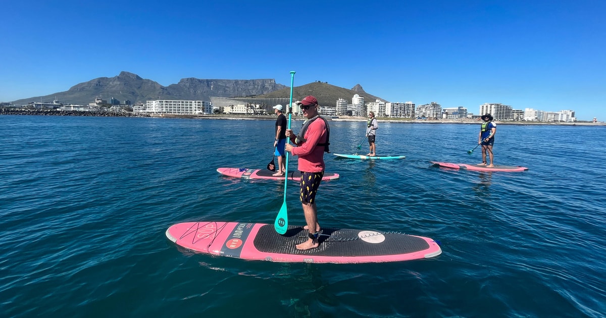 SUP Ocean Tour | GetYourGuide