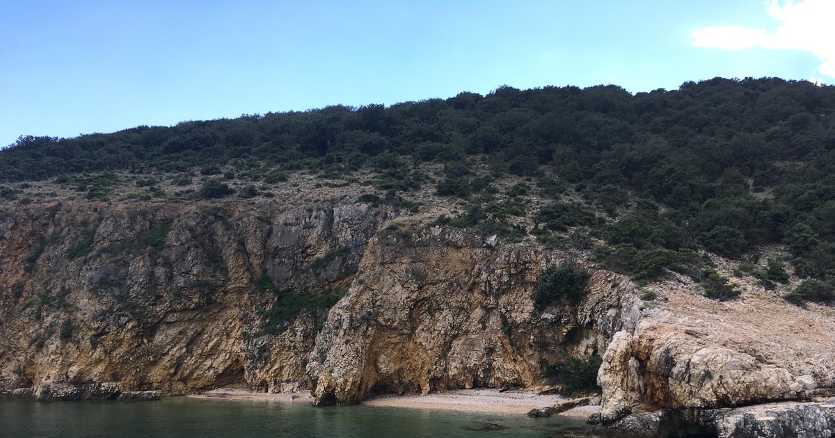 Plavnik Island: Swimming and Snorkeling with Captain Bobo | GetYourGuide