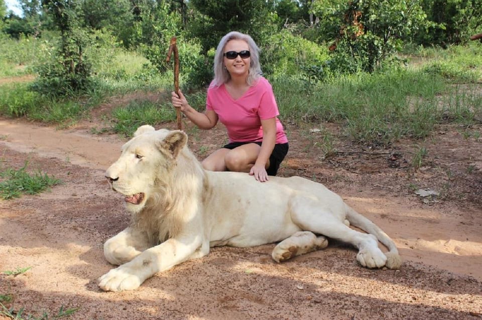 Victoriafallen: Möte med elefanter, lejon och geparder | GetYourGuide