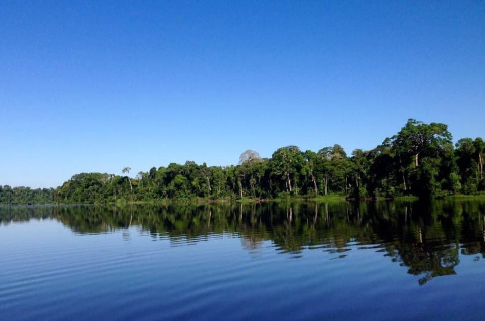 COLLPAS TAMBOPATA INN EXPEDICIÓN 4D/3N | GetYourGuide