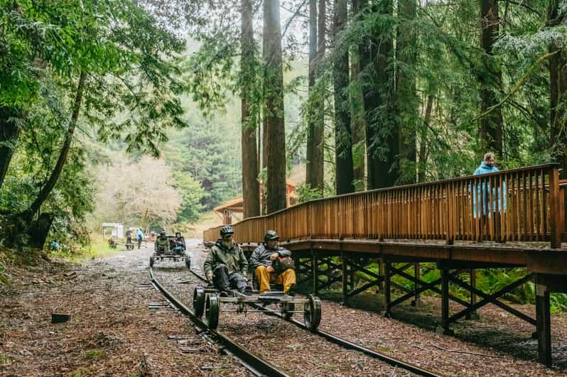 Mendocino County: Pudding Creek Railbikes | GetYourGuide
