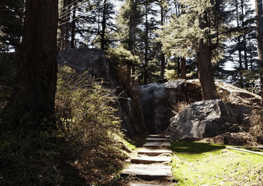 Manali Nature Walk (3 Hours Guided Trekking Experience) | GetYourGuide