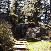 Manali Nature Walk (3 Hours Guided Trekking Experience) | GetYourGuide