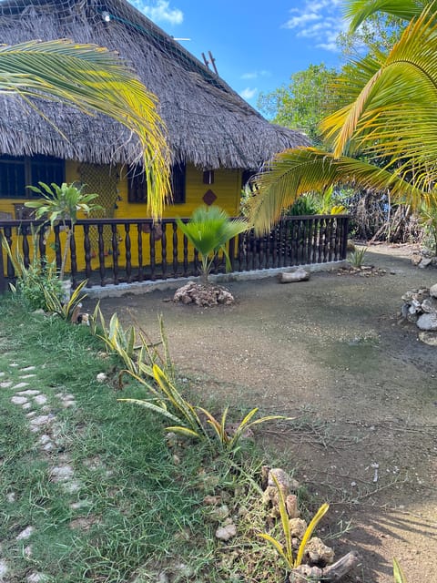 Ecotoer en vissen in de natuurlijke mangrove van Cartagena | GetYourGuide