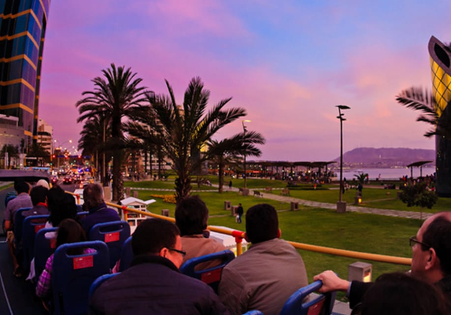 360° Panoramic bus - Sightseeing Tour | GetYourGuide